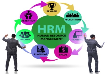 Human Resource Management Structure And Function - Infoupdate.org